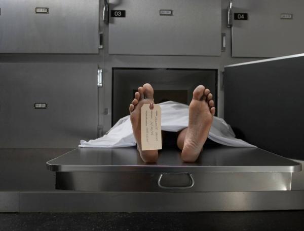 Proyectos científicos para revivir muertos: estos son los avances