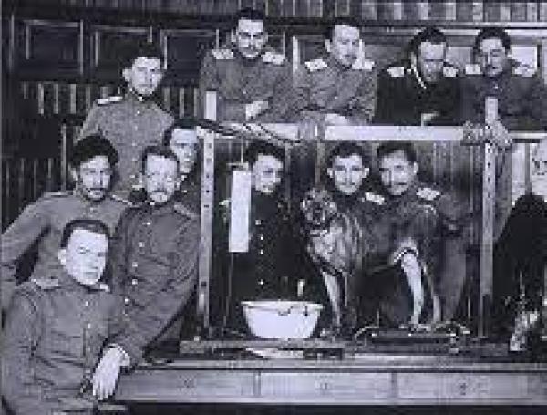 Experimento de conductismo con el niño Albert