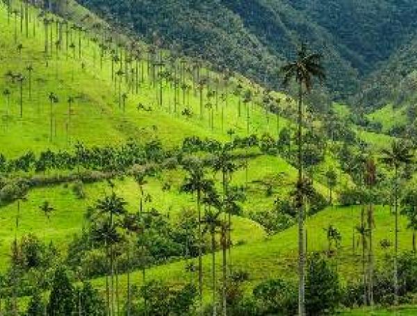 'Encanto': lugares reales de Colombia donde se inspiraron para la película
