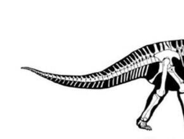 Dinosaurio colombiano, descubren uno de estos animales en el Cesar