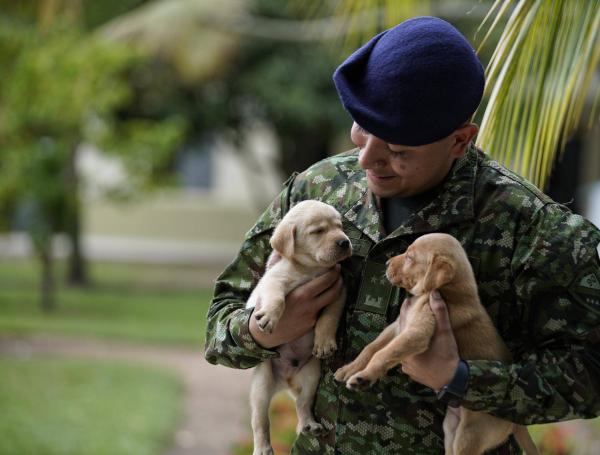 Así se entrenan en Tolemaida perros que acompañarán operaciones militares