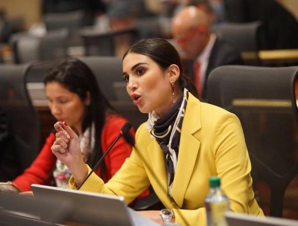 ¿Quién es Saray Robayo, la representante a la Cámara y pareja del ...