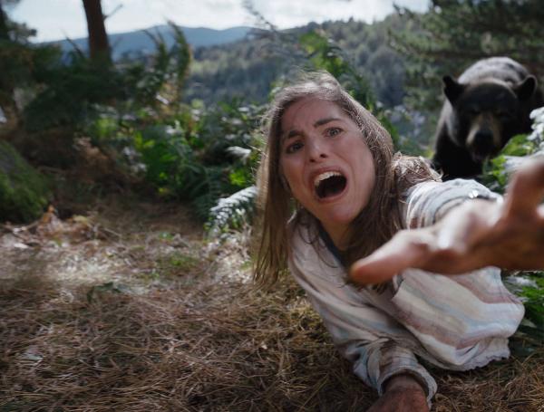 Oso intoxicado: detalles de la polémica cinta de droga y comedia