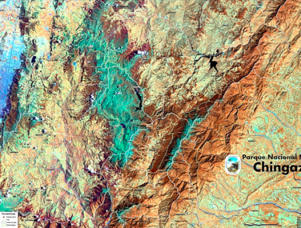 Chingaza: avistamiento de fauna silvestre y aves en su hábitat natural