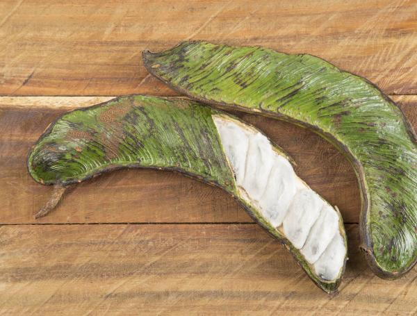 Guama: ¿Qué beneficios tiene la guama?