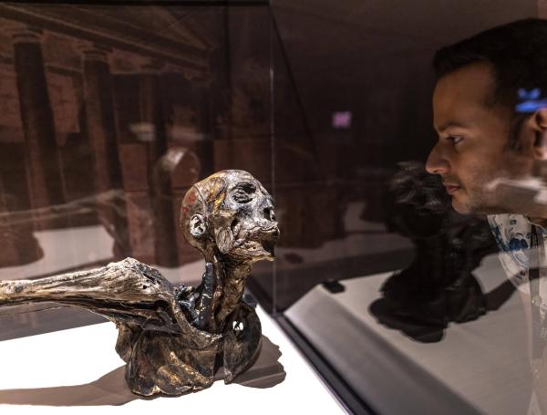 Momias de distintos lugares del mundo cuentan sus secretos