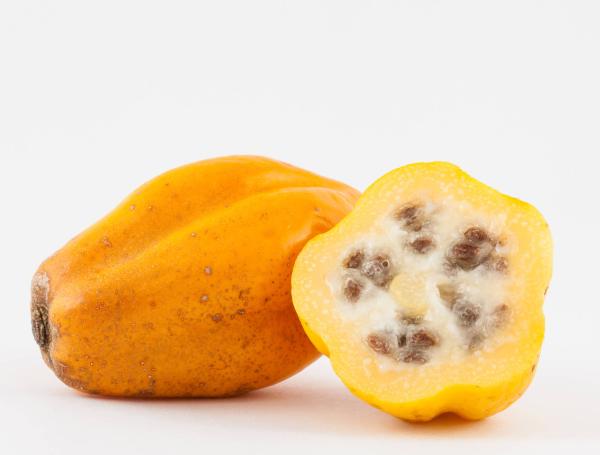 Papayuela: ¿Cuál es la diferencia entre la papaya y la papayuela?