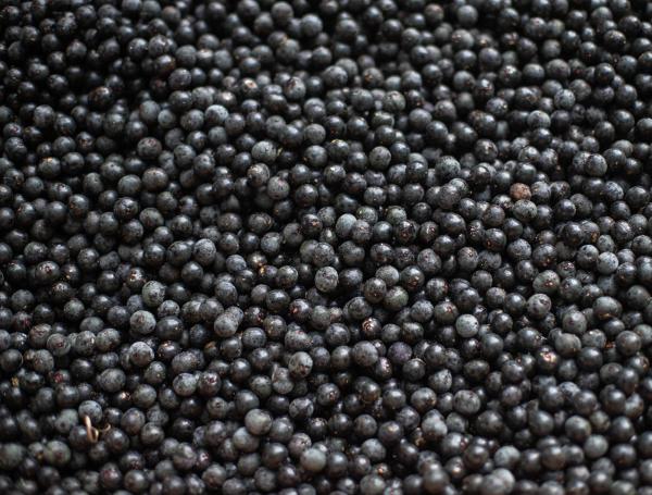 Asaí: el superalimento que protege el corazón y es afrodisíaco