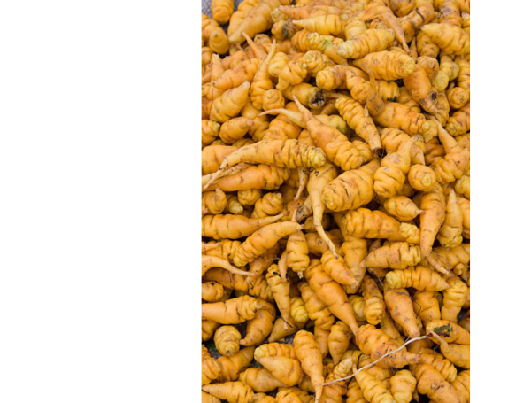 A comer cubios: ¿qué aportes tiene para la salud y por qué son tan ...