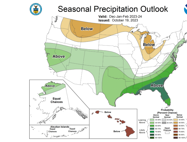 Florida: ¿hay probabilidades de nieve para este invierno?
