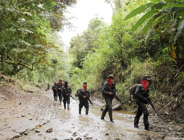Eln justifica orden de paro armado en Chocó: población pide ayuda