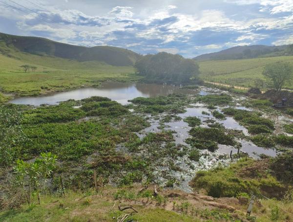 Fotos: el humedal en Huila que recobró su vida tras paso de especie ...