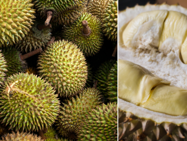Cuál es 'la fruta más apestosa del mundo' y por qué es muy popular en ...