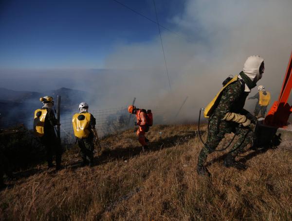 Incendio en Páramo de Berlín, el cementerio de frailejones y su ...