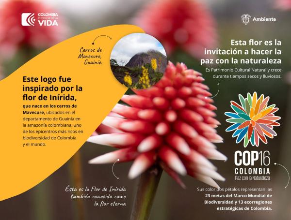 ¿Qué es la COP16, por qué es importante? Puntos claves para entender la Conferencia