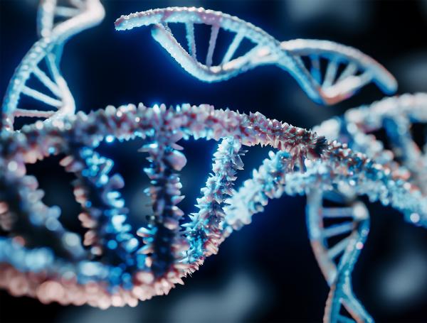 Este es el gen que hace ver a algunos adultos menores pese a la edad