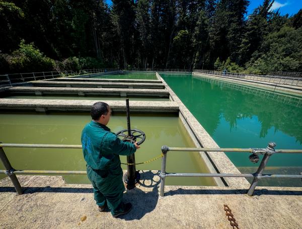 Vitelma: la antigua planta de Bogotá que entró en operación por el ...