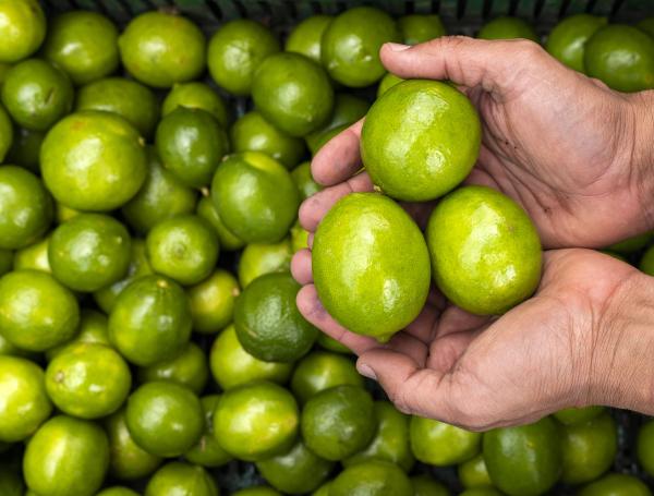 Los beneficios del jugo de repollo con limón: para qué es bueno y cómo ...
