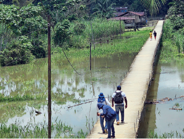 Así Han Crecido La Expansión Y Disputa Territorial De Los Grupos