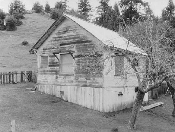 La historia de Steven Stayner, el niño que duró secuestrado siete años ...