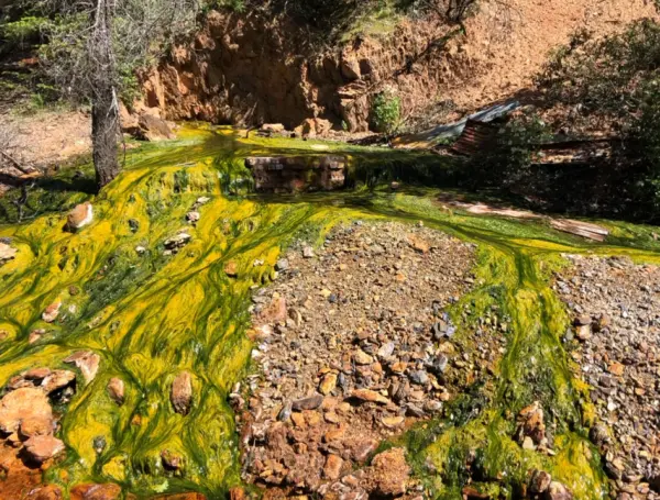 El lugar de California que fue nombrado uno de los más peligrosos de ...