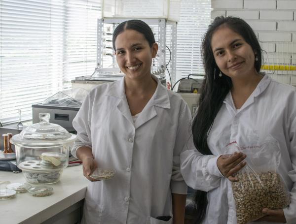 Pulpa y aguamiel, la receta para un café especial