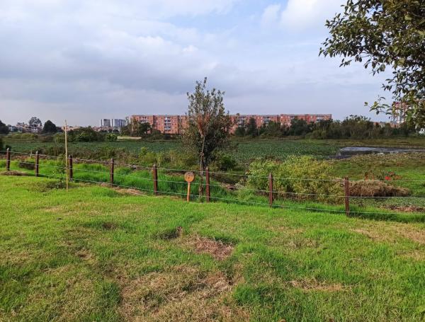 Bogotá tiene nuevo parque: 24.000 metros cuadrados fueron entregados en ...