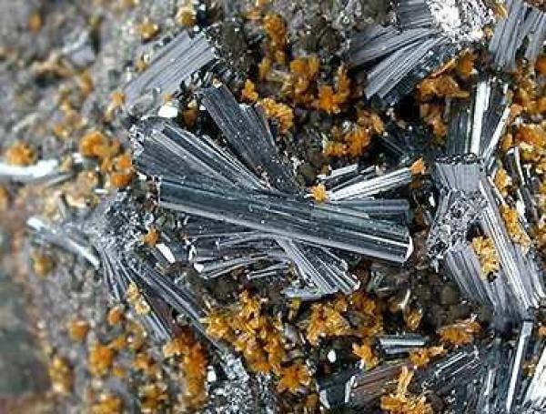 Talio: ¿qué es esta sustancia, por qué es tan peligrosa y para qué se ...