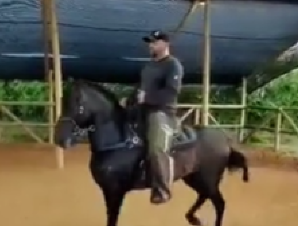 Mafia, DJ y 'la Reina': la historia detrás de crimen de una mujer en ...