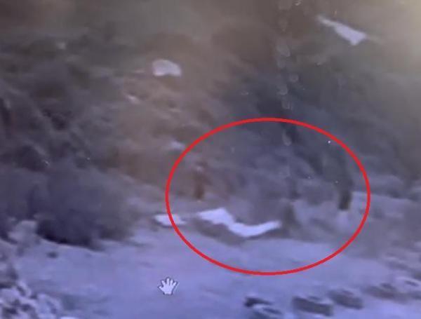 Hipótesis de la familia sobre la muerte de David Nocua, menor hallado ...