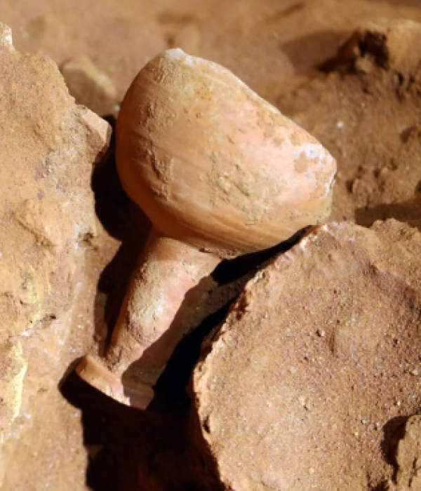 Arqueólogos resolvieron el misterio de la copa del Santo Grial ...