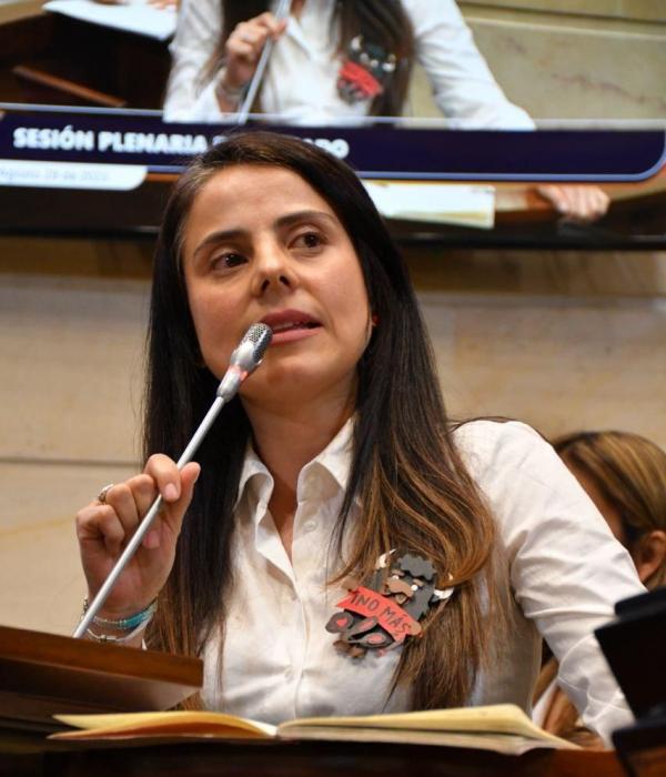 Esmeralda Hernández sobre las reformas: 'La salida no es escondiéndose ...