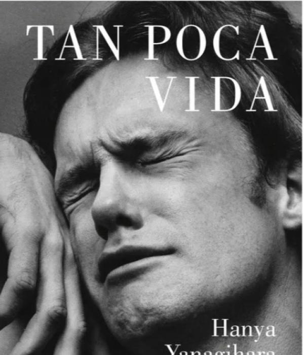 Celebrando la diversidad y el amor: una selección de libros que invita ...