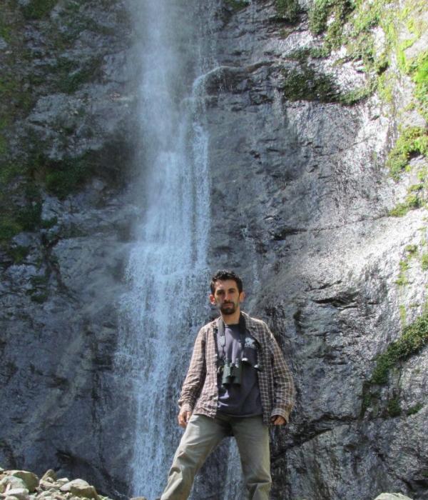 COP16: las iniciativas de tres líderes para proteger varios tesoros ...