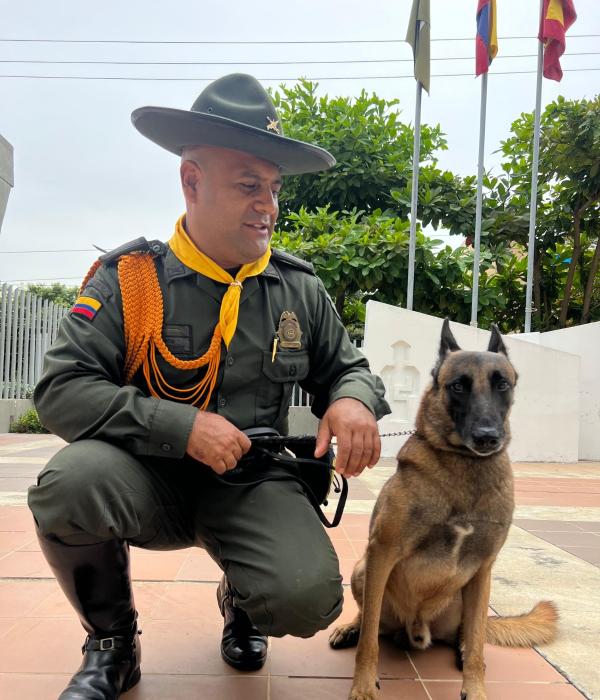 el perro Pastor Alemán que combate el narcotráfico en Cartagena