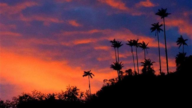 Parque Nacional Los Nevados: alerta de las autoridades por turismo ...