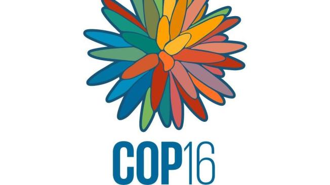 COP16: ¿por qué el símbolo es una flor?; la historia sobre el logo de la cumbre en Cali