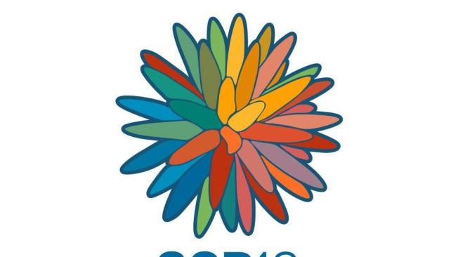 COP16 en Cali quedó oficialmente inaugurada: así se vivió el acto de ...