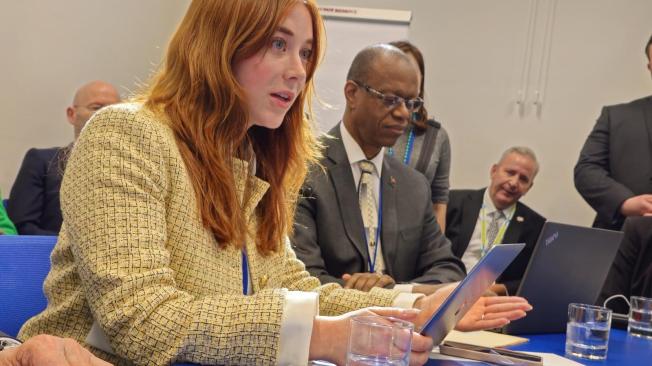 Gloria Miranda es la nueva directora del Programa de Sustitución de ...