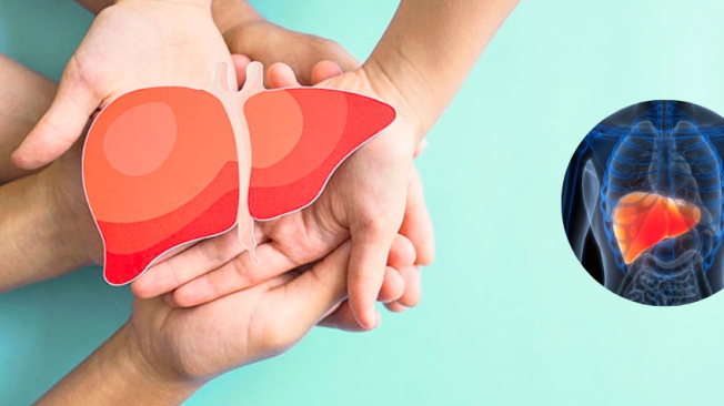 Hígado graso: qué es, por qué aparece y cómo influye la alimentación