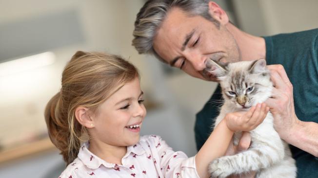 Gatos: así ven estos felinos a los humanos