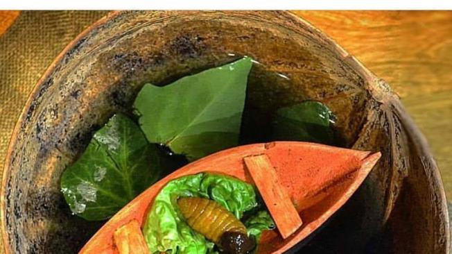 El consumo de insectos en Colombia