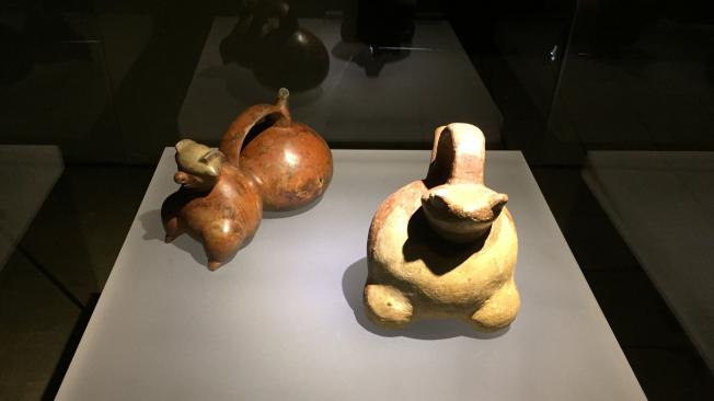 Museo la merced expone nuevo material