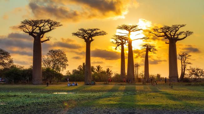 Madagascar: historia y lugares recomendados para visitar