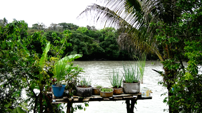 Andagoya, Chocó, un pueblo anclado a su historia minera