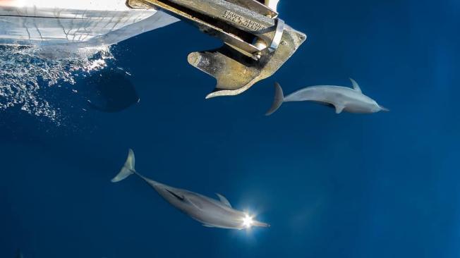 Enrique Fenollosa recorrió el mundo en su velero y está en Bogotá