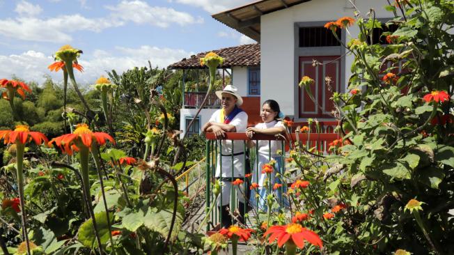 Planes para hacer en Quindío, restaurantes, parque del café, Recuca y más
