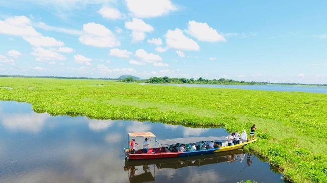 planes de rehabilitación en Saloa