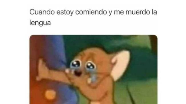 Jerry llorando, el ‘wey ya’ y otros de los mejores memes de 2020