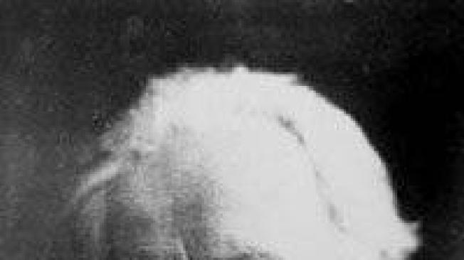 Los experimentos para crear soldados hombre-mono soviéticos